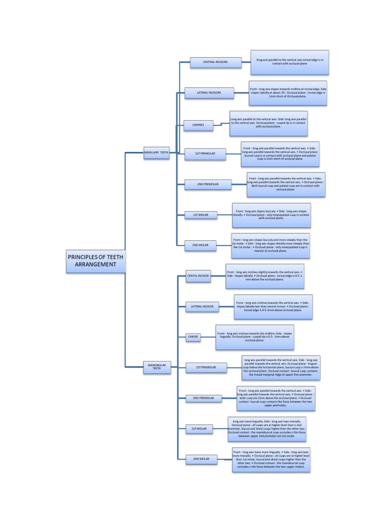 Principles of Teeth Arrangement | PDF | Mouth | Dentistry