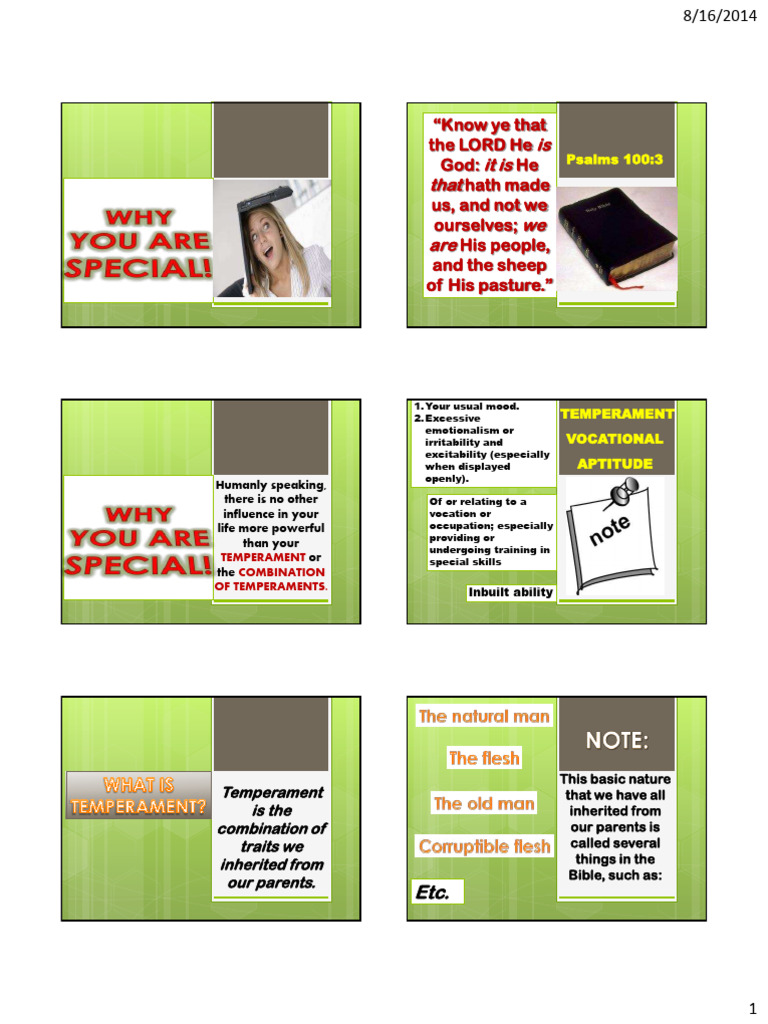 Basic Idea of Temperament | PDF | Extraversion And Introversion | Moses