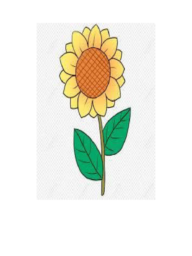 Bunga Matahari | PDF