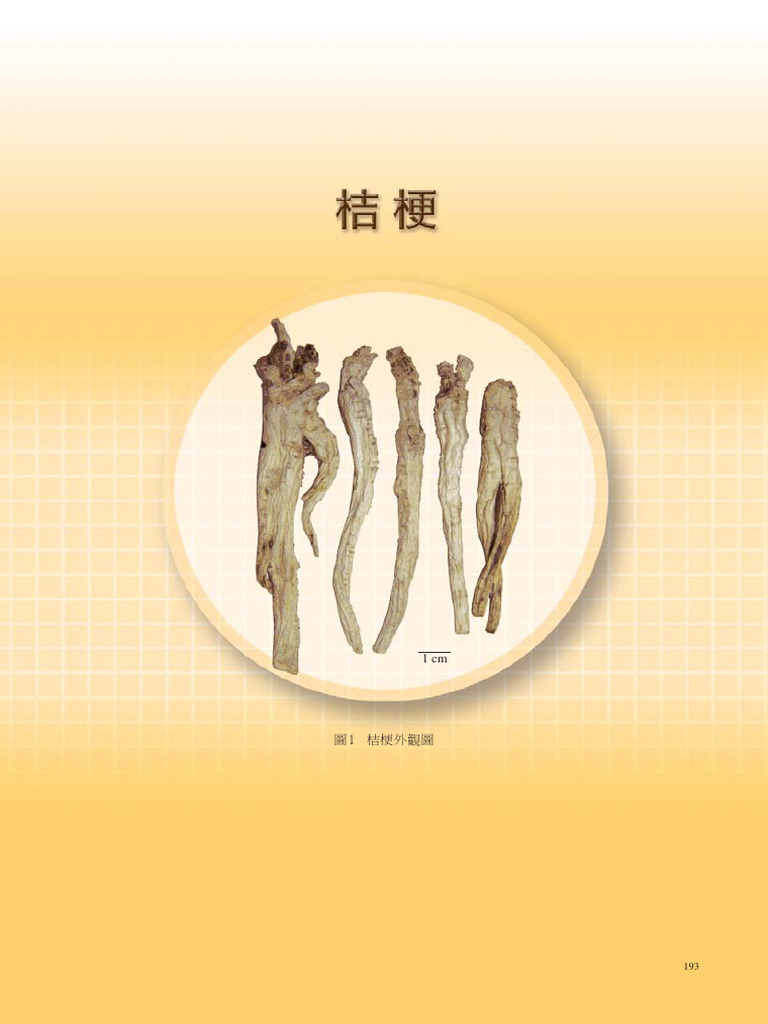 Radix Platycodi | PDF