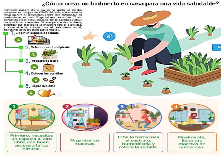 Pasos para Un Biohuerto | PDF