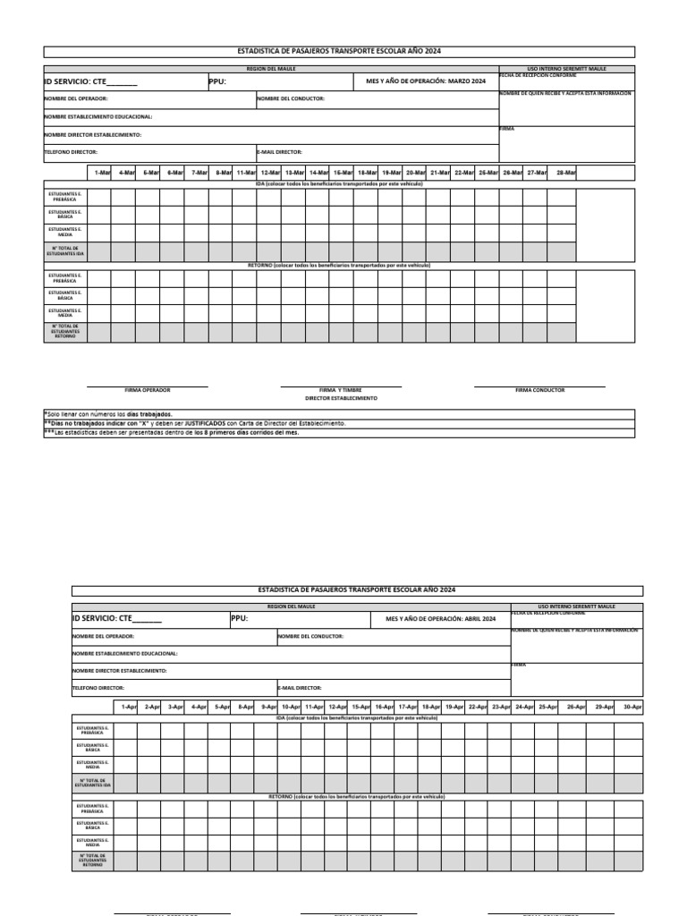 Formato Estadistica Cte Año 2024 | PDF