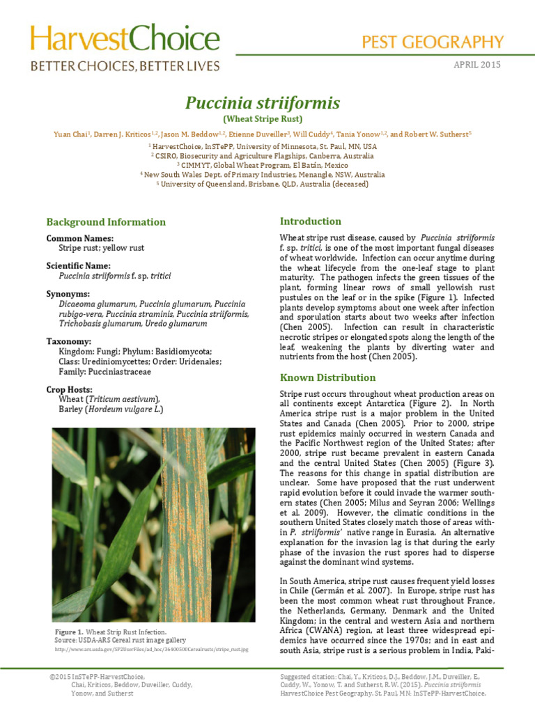 Chai Et Al 2015 InSTePP - Puccinia Striiformis - Wheat Stripe Rust ...