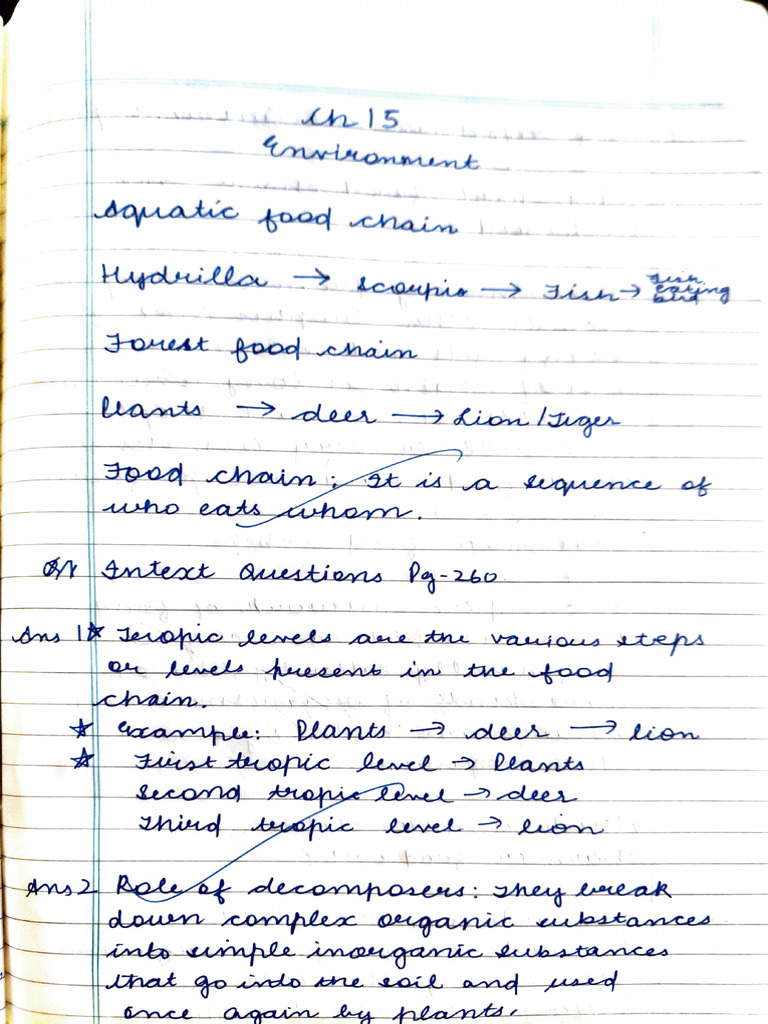 Environment Questions | PDF