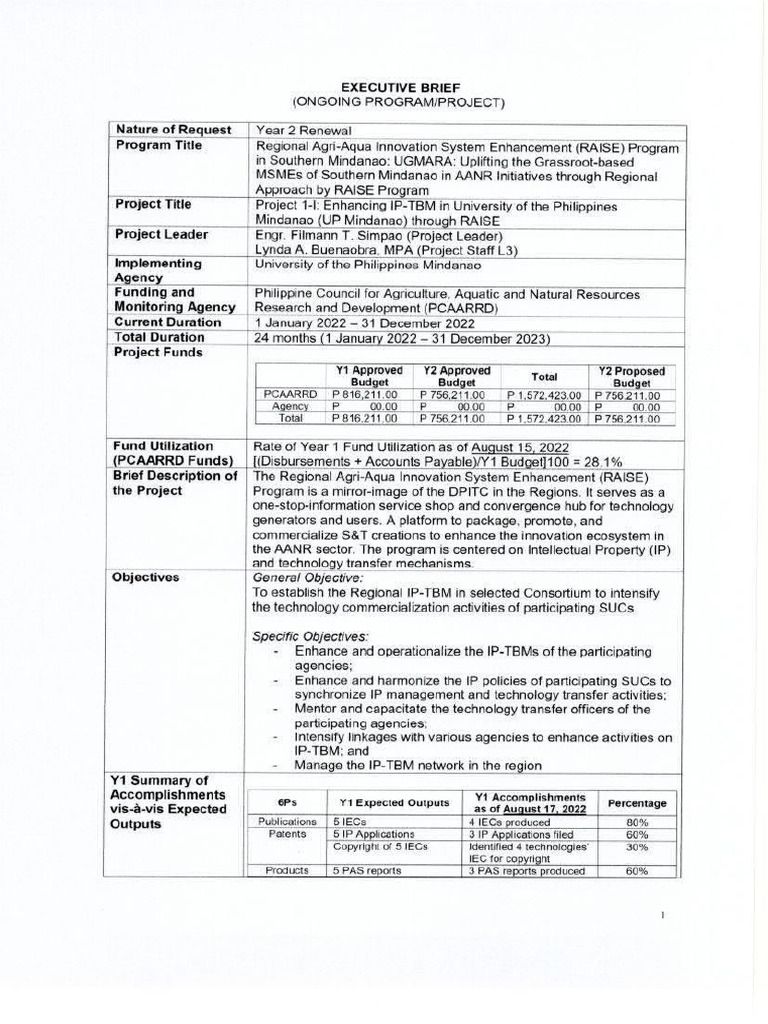 Executive Brief Summary | PDF