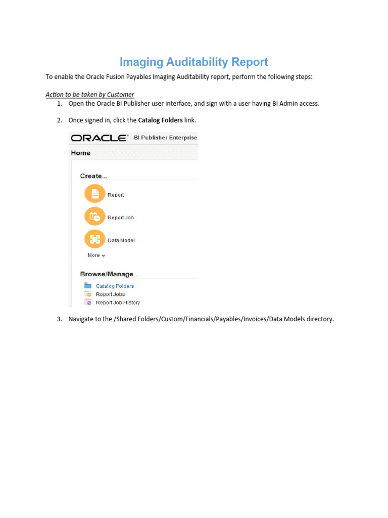 Action Plan Customer Imaging Auditability Report Pdf