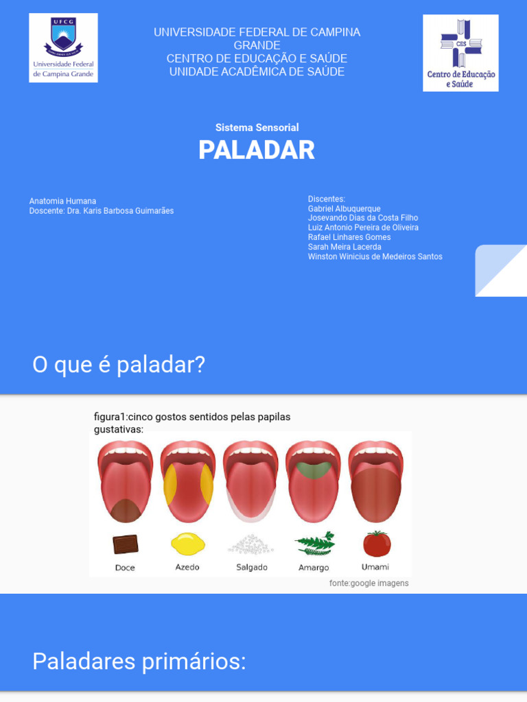 Anatomia do Paladar Humano | PDF | Gosto | Língua