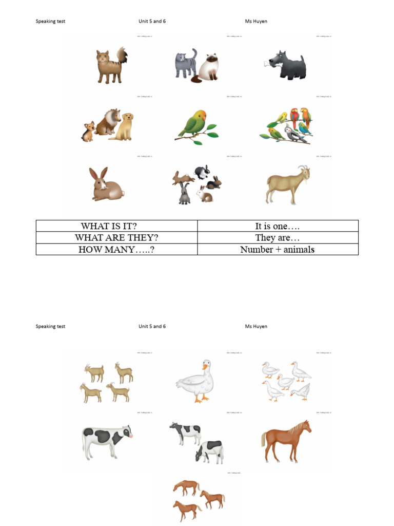 Speaking Test Units 5 6 Guide Pdf