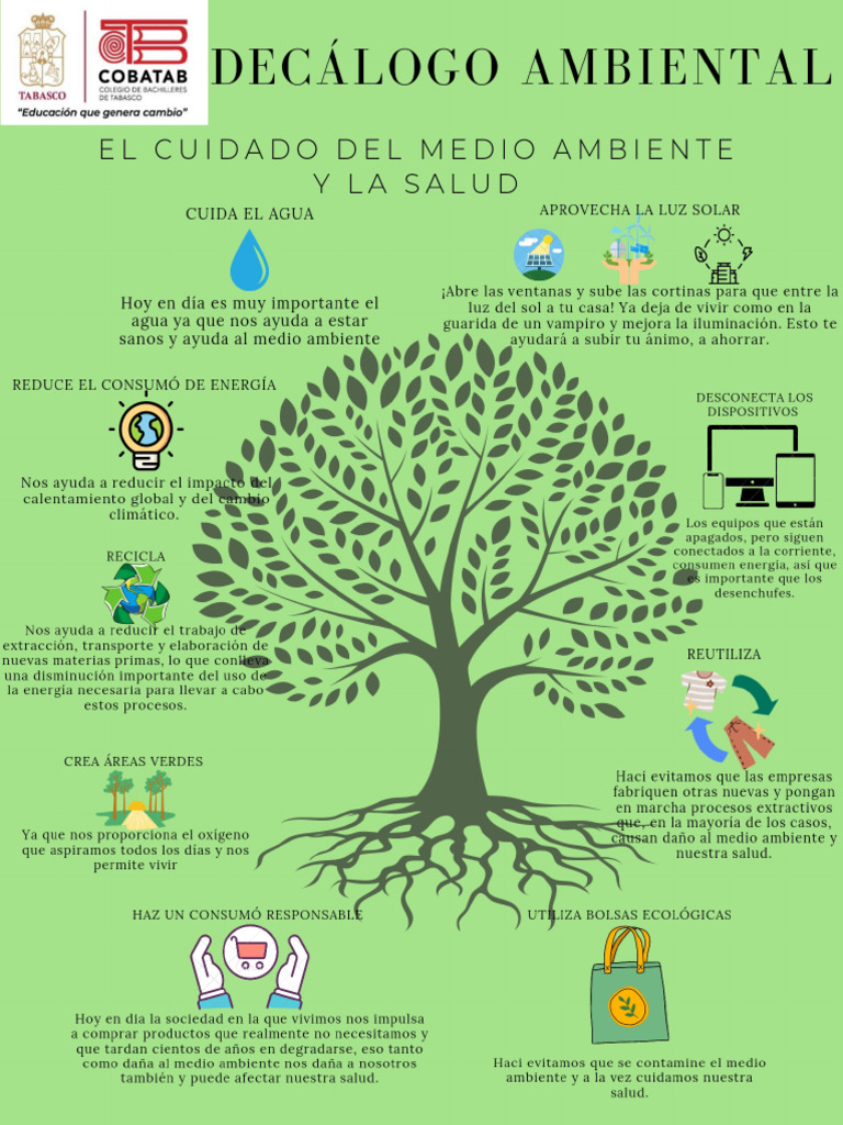 Decálogo Ambiental Pdf