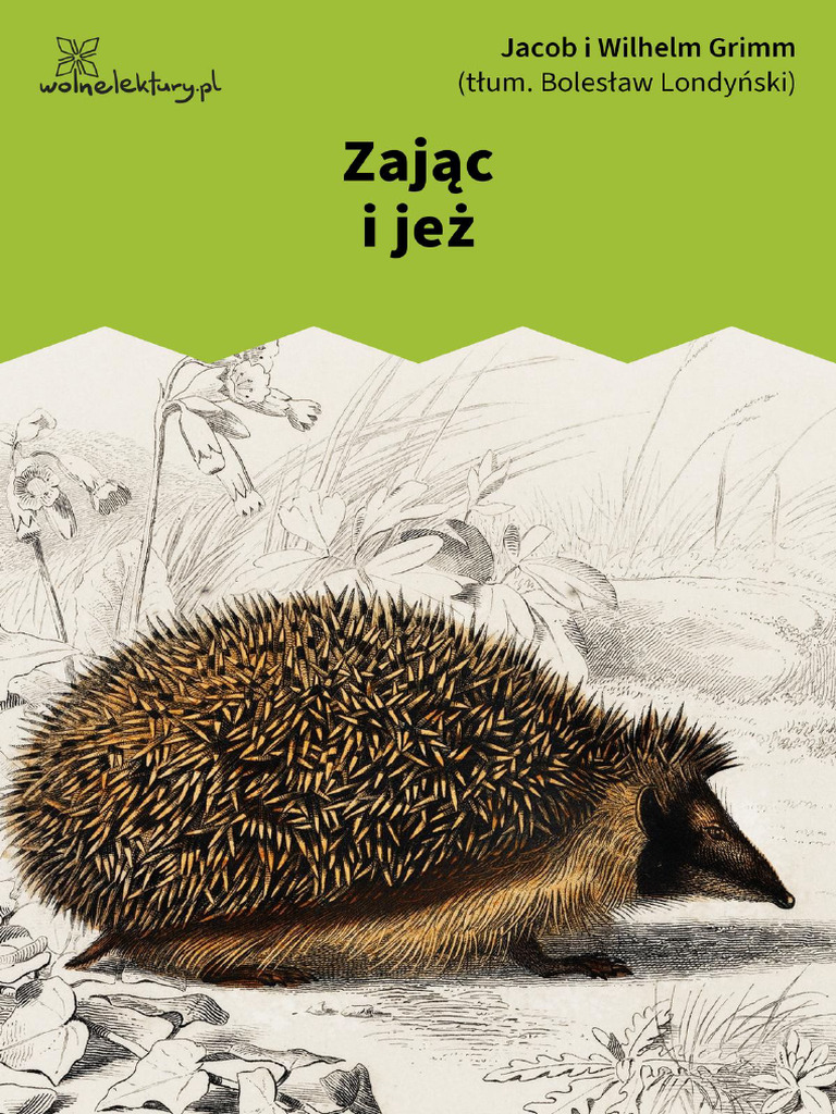 Zajac I Jez | PDF