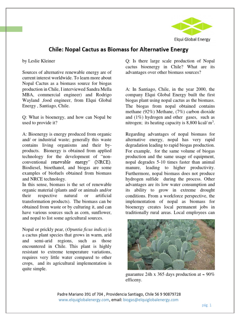 Nopal Cactus As Biomass For Alternative Energy | PDF | Bioenergy ...