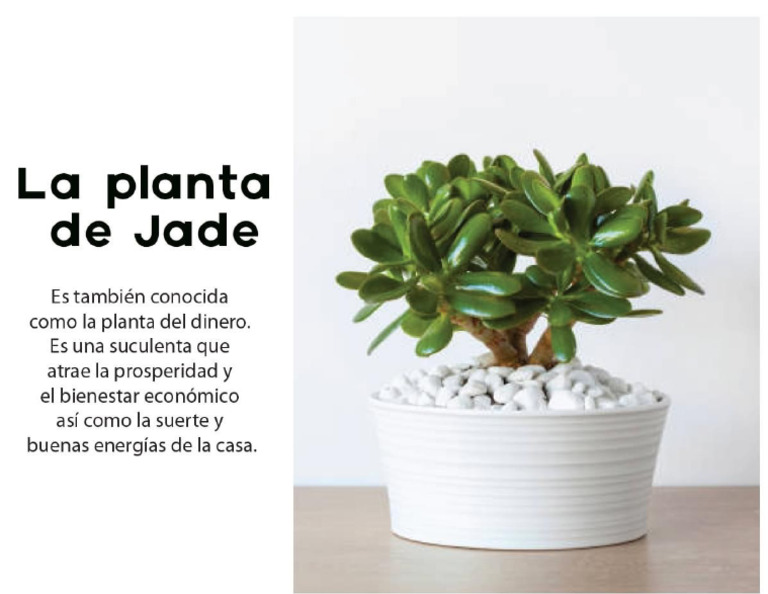 JADE | PDF