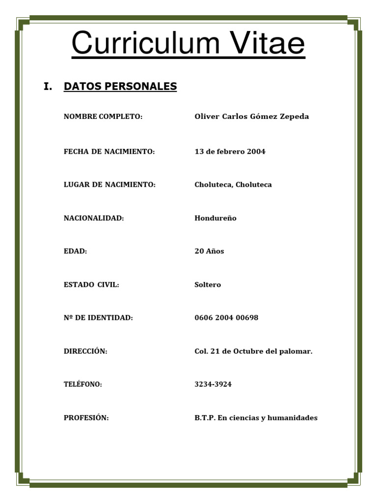 Curriculum de Ender Enrique Quiroz | PDF