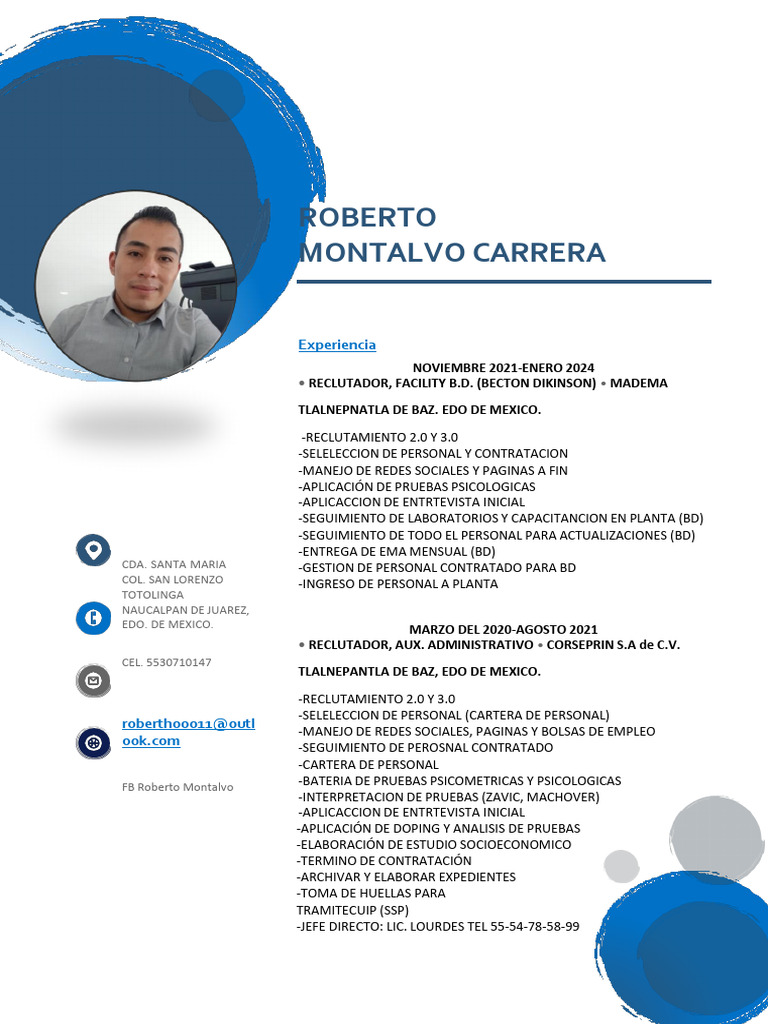 Roberto CV 2024 | PDF | Business | Economias