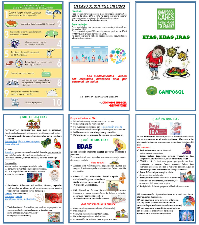 Edas, Etas, Iras Norovirus | PDF | Diarrea | Resfriado comun