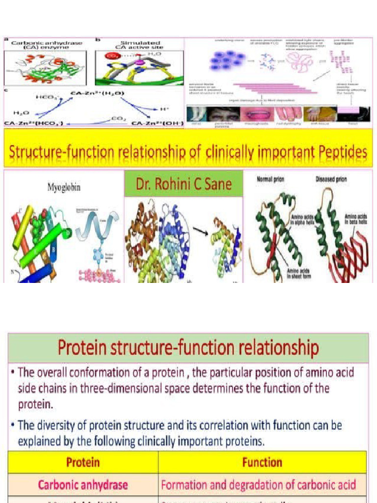 Protein Disorders | PDF