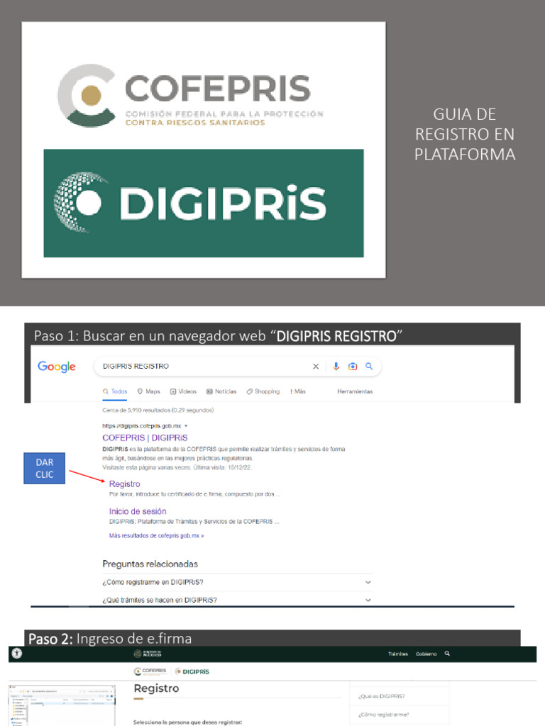 Guia Registro Digipris | PDF | Finanzas y dinero