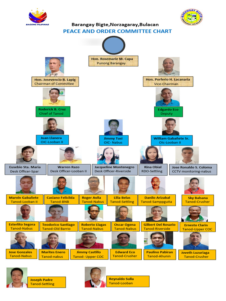 Barangay Bigte. Chart 101 | PDF