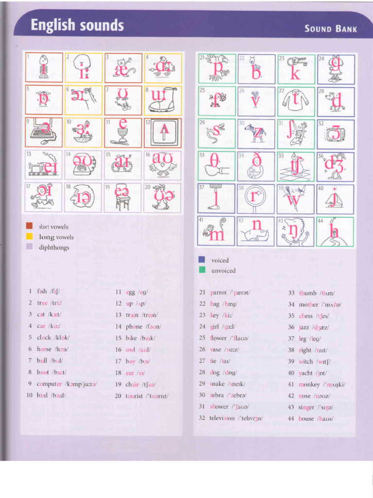 English Sounds | PDF | Phonetics | Human Voice