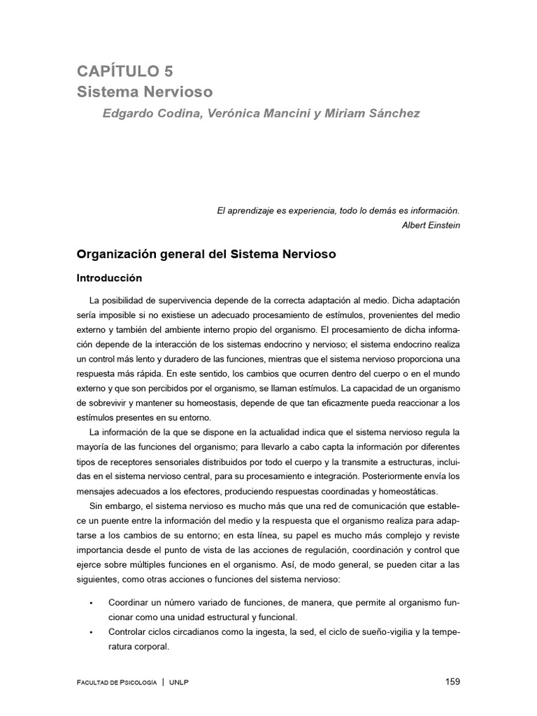 Aspectos Biológicos de La Complejidad Humana (Cap 5) | PDF | Cerebelo ...