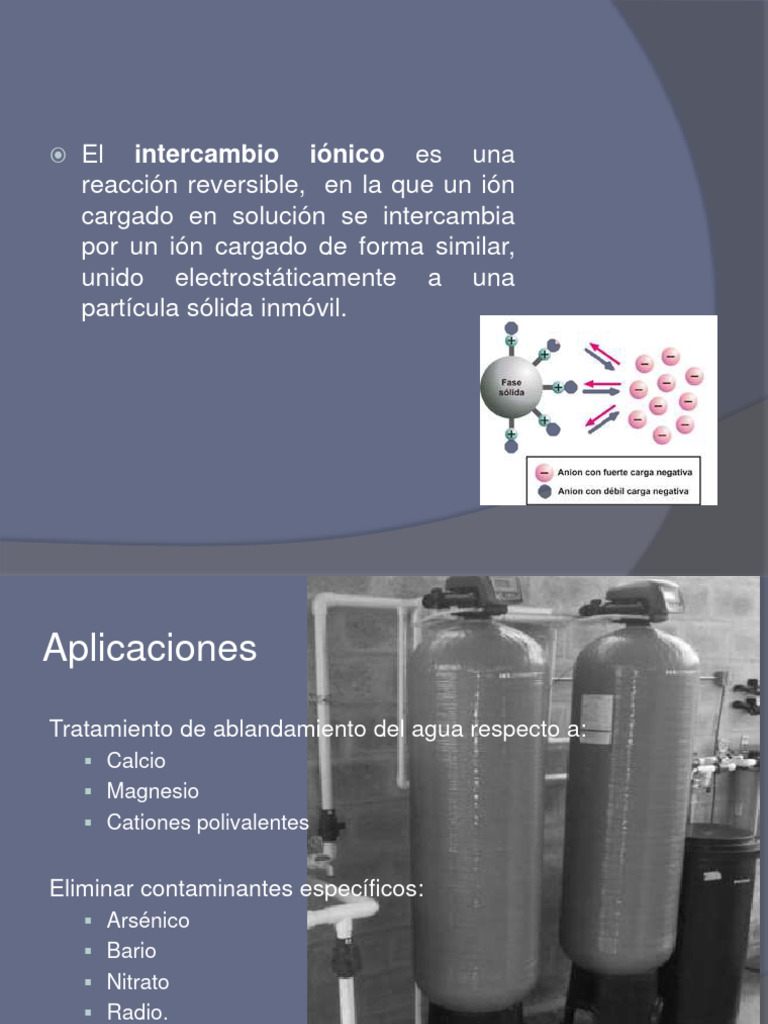 Intercambio Ionico 1 | PDF | Intercambio iónico | Enlace iónico