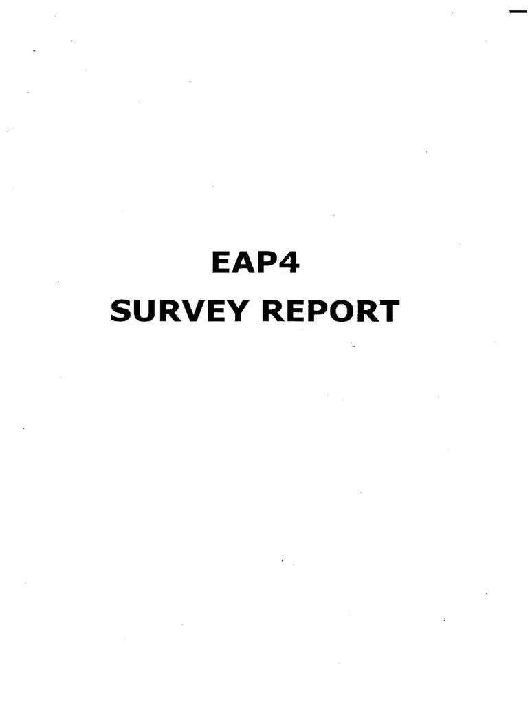 SURVEY REPORT EXAMPLE | PDF