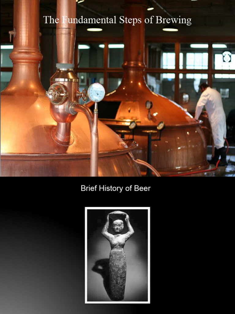 Beer | PDF | Brewing | Beer