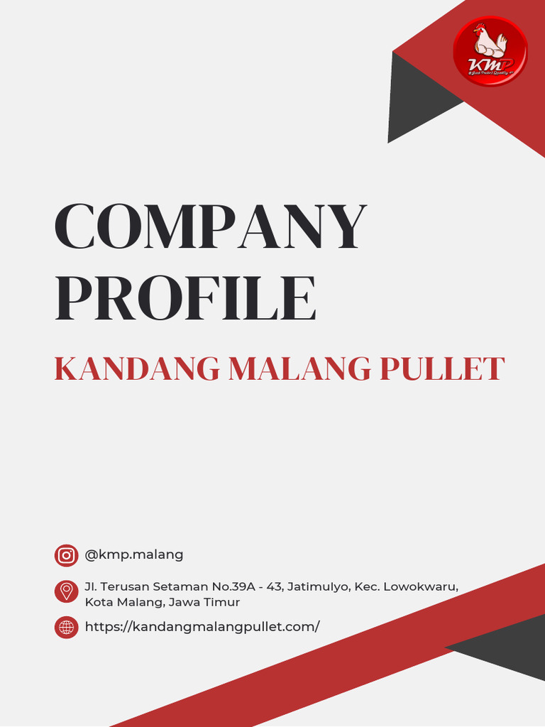 Aurellia Kirana Bhanurasmi - Company Profile KMP | PDF | Bisnis
