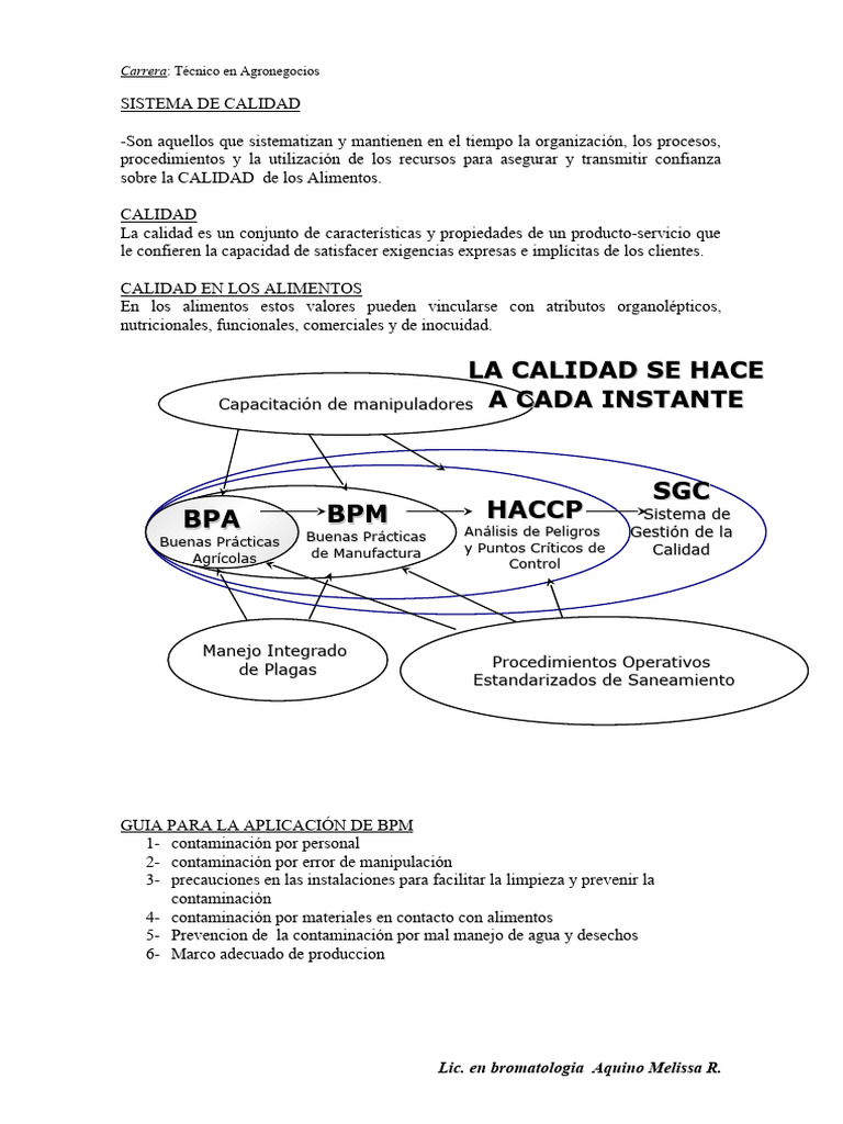 Sistema De Calidad Bpm Bpa Mip Pdf Análisis De Riesgo Y Puntos
