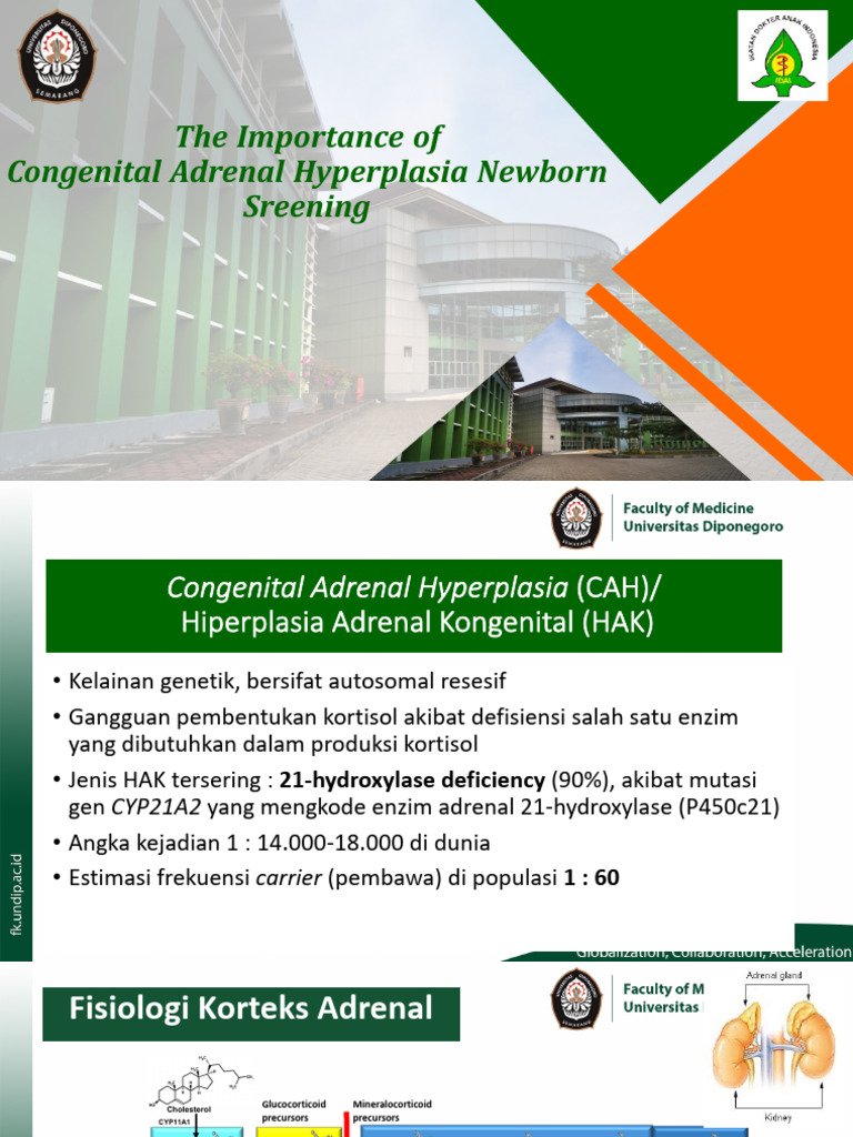 Skrining CAH pada Bayi Baru Lahir | PDF