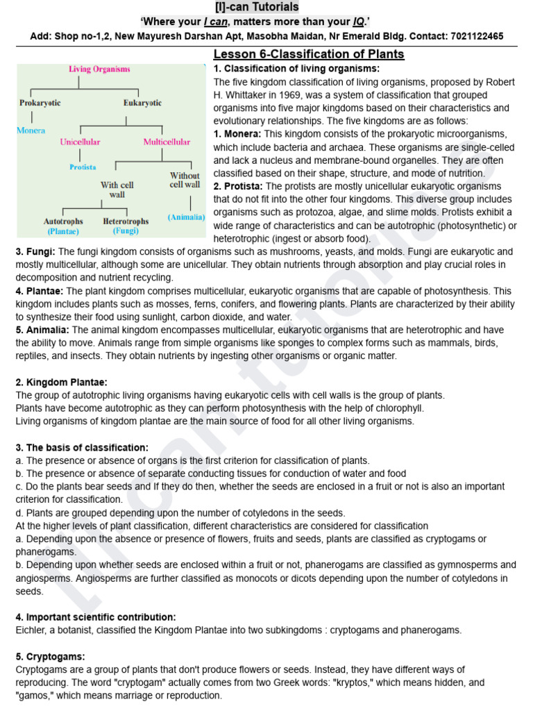 S2-Lesson 6-Classification of Plants | PDF | Seed | Plants
