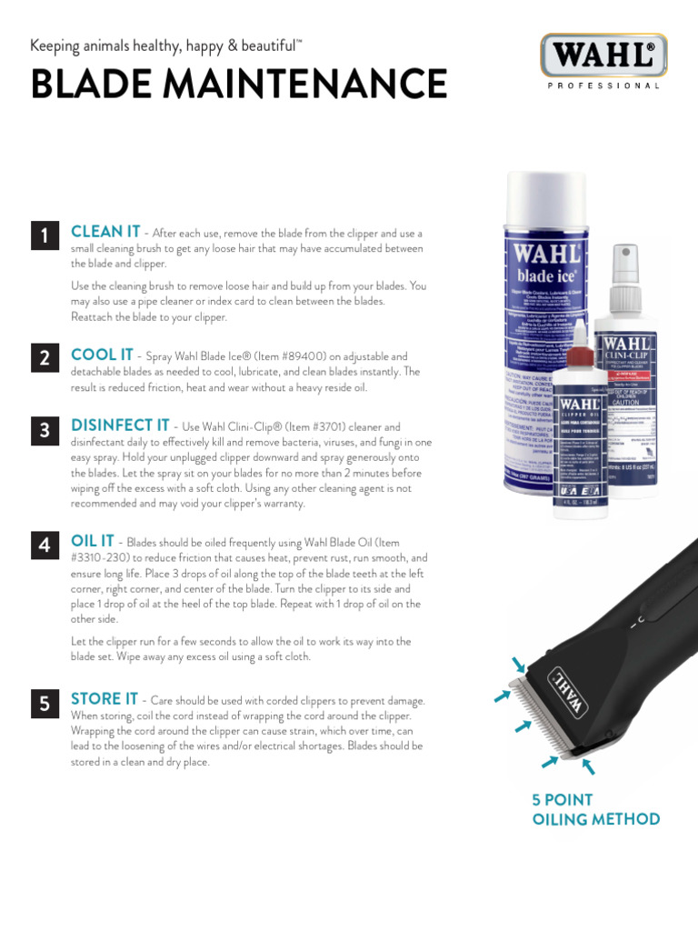 Blade Maintenance | PDF