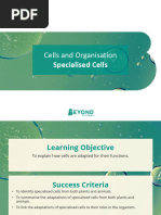 Specialised Cells Worksheet With Answers | PDF | Cell (Biology ...