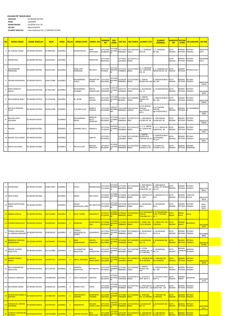 Rekap Formulir Pengusulan Pip 2024 | PDF