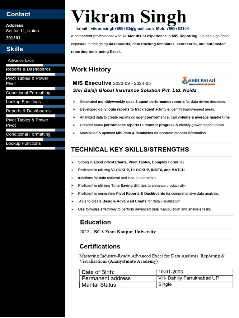 MIS Executive Resume of Vikram Singh | PDF | Microsoft Excel | Computing