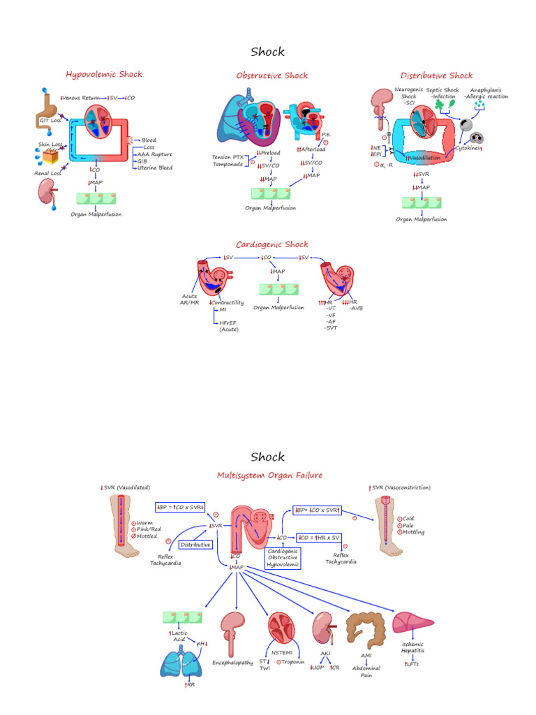 14• Shock [Illustrations Key] | PDF | Shock (Circulatory) | Causes Of Death