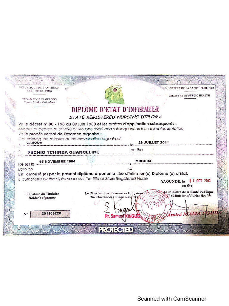 Diplôme D'infirmiers | PDF