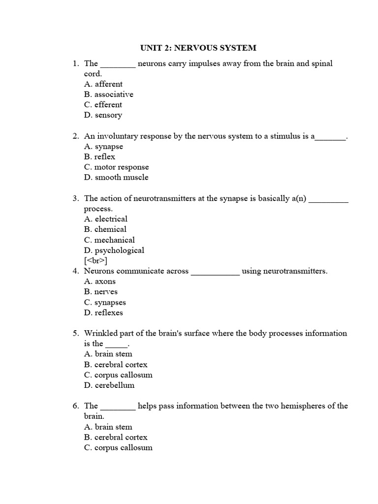 Unit 2 Nervous System-Review | PDF | Brain | Brainstem