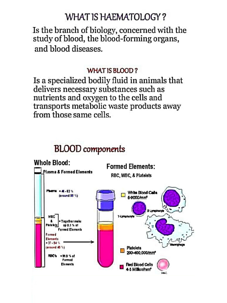 Blood Important Knowledge | PDF