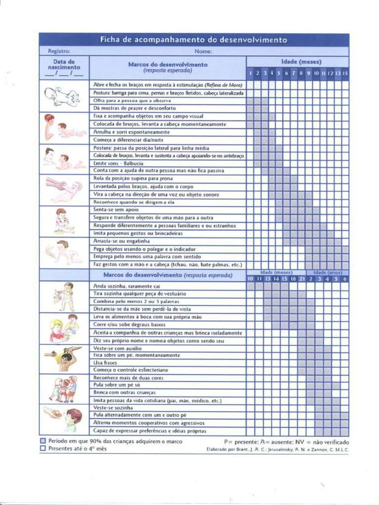 Escala de Desenvolvimento-Infantil-Paulinhapsicoinfantil | PDF