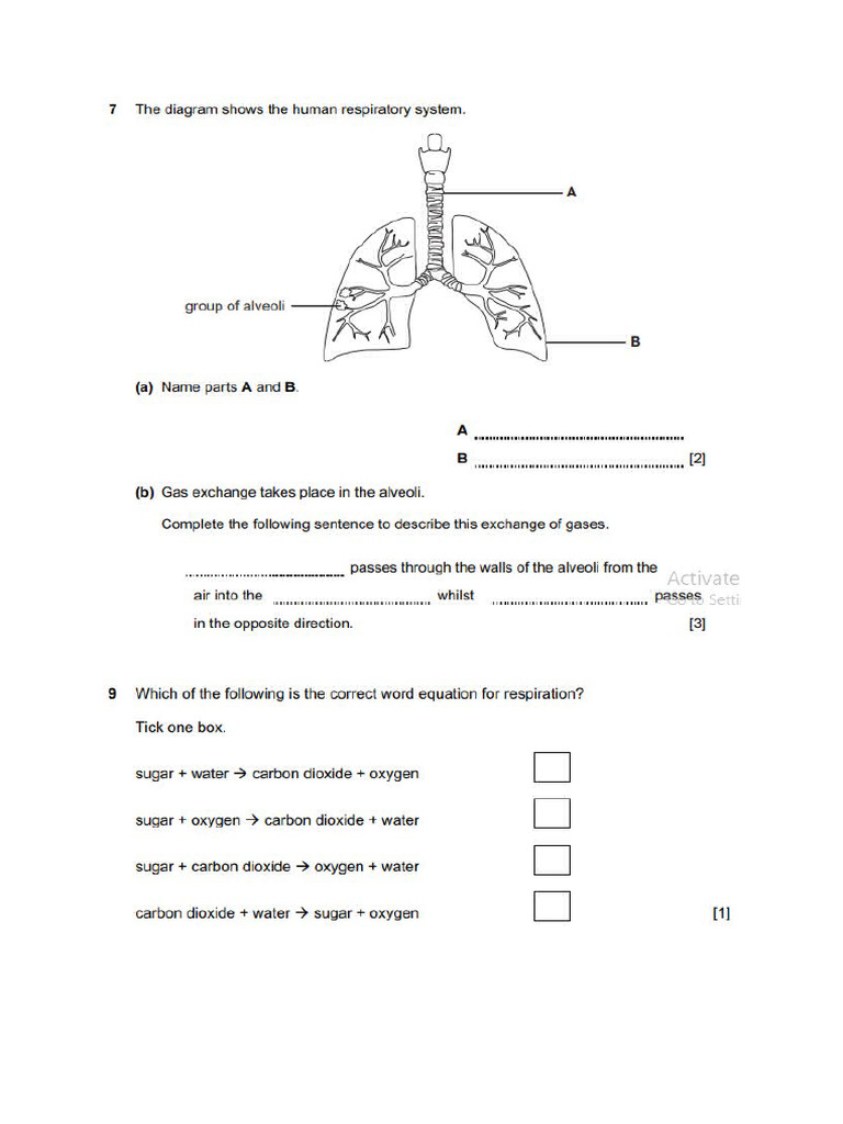 Year 8 Checkpoint Exercices | PDF