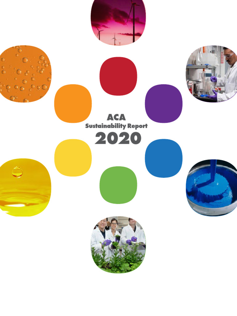 2020-ACA-Sustainability-Report-1 | PDF | Sustainability | Green Building
