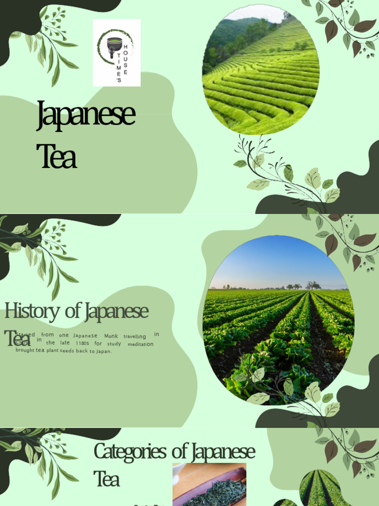 Japanese Tea: History and Brewing Guide | PDF | Tea | Caffeinated Drinks