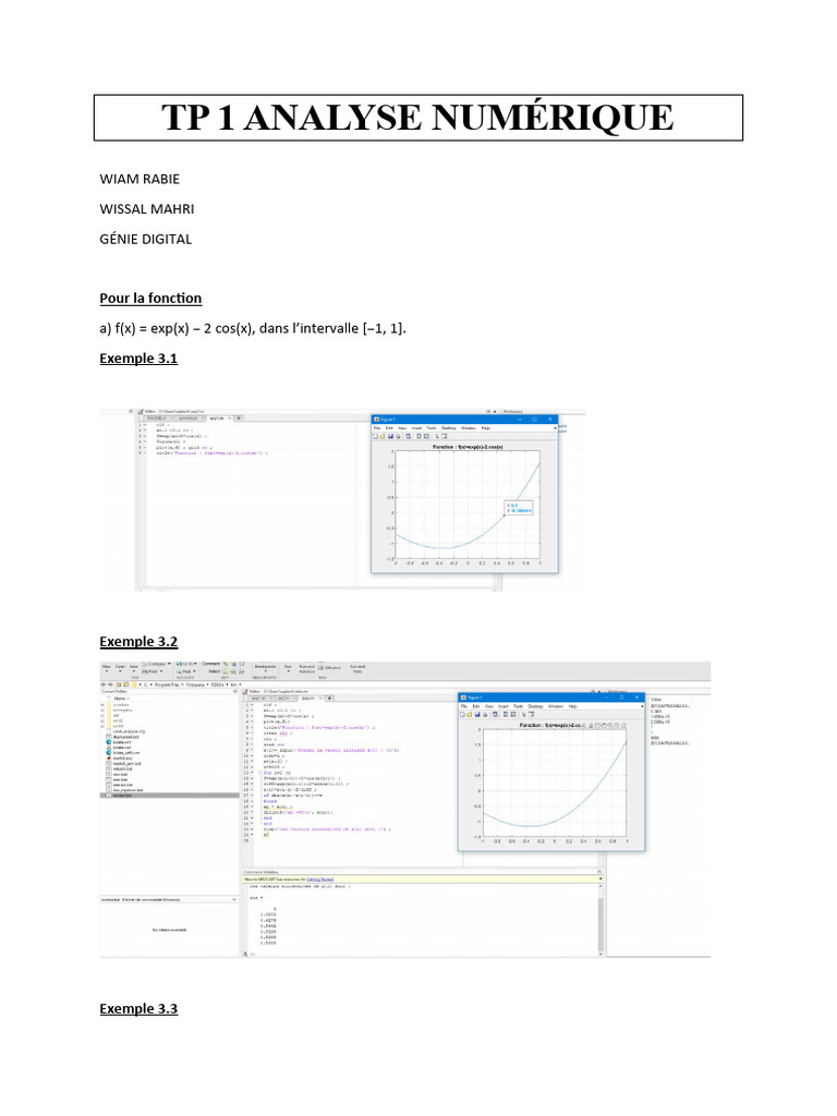 TP 1 ANALYSE NUMÉRIQUE Wissam | PDF