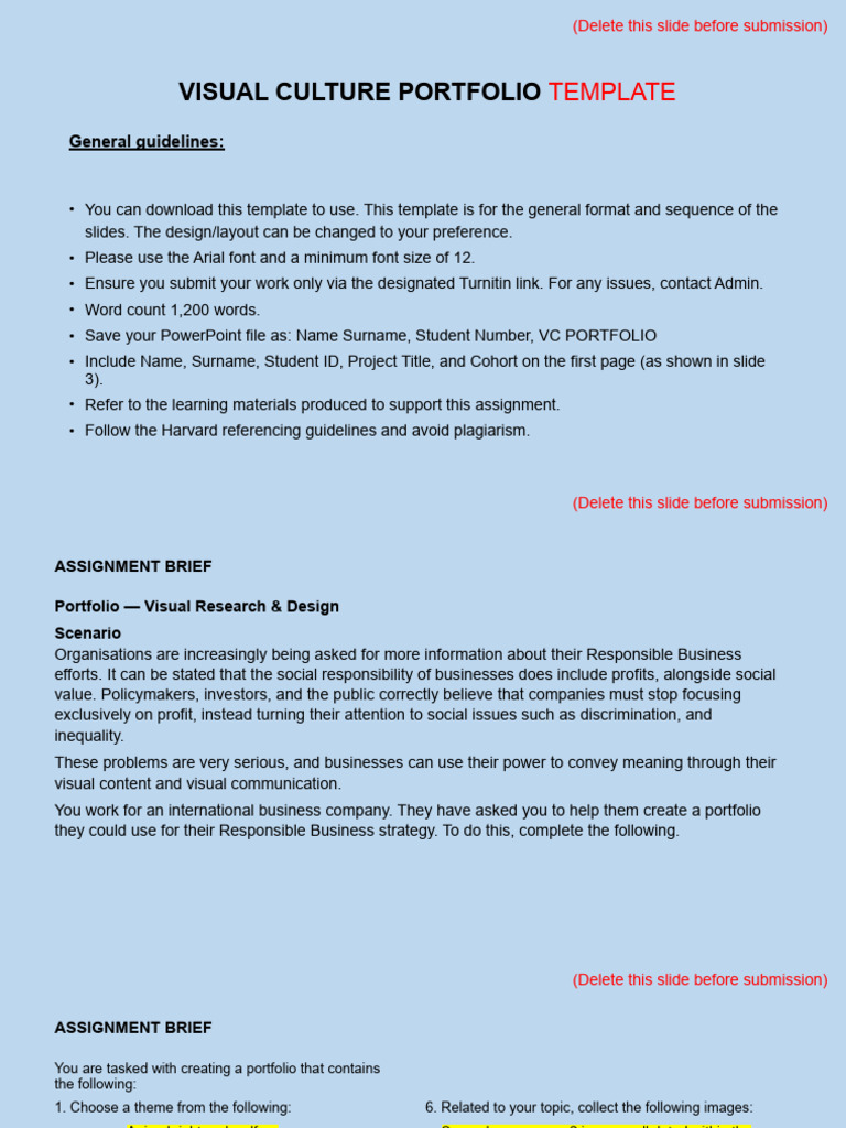 VC Feb24 Portfolio TEMPLATE FEB24 | PDF | Discrimination | Disability