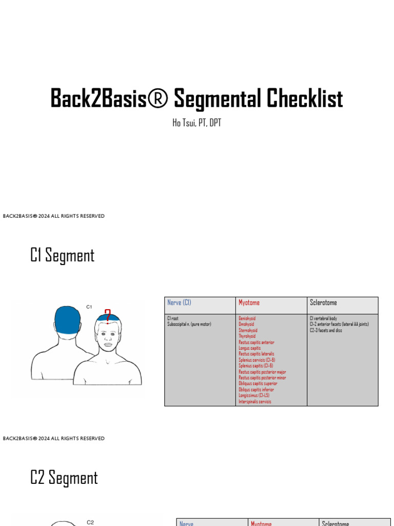 B2B Spinal Segments Checklist | PDF | Foot | Thumb