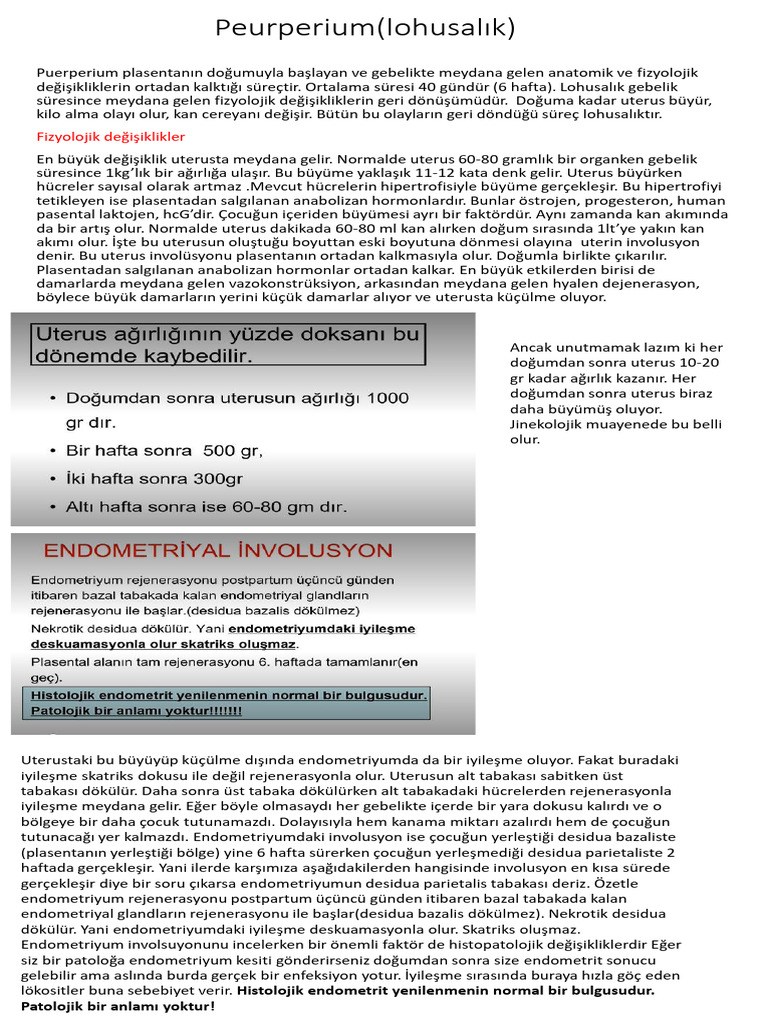3 Puerperium | PDF