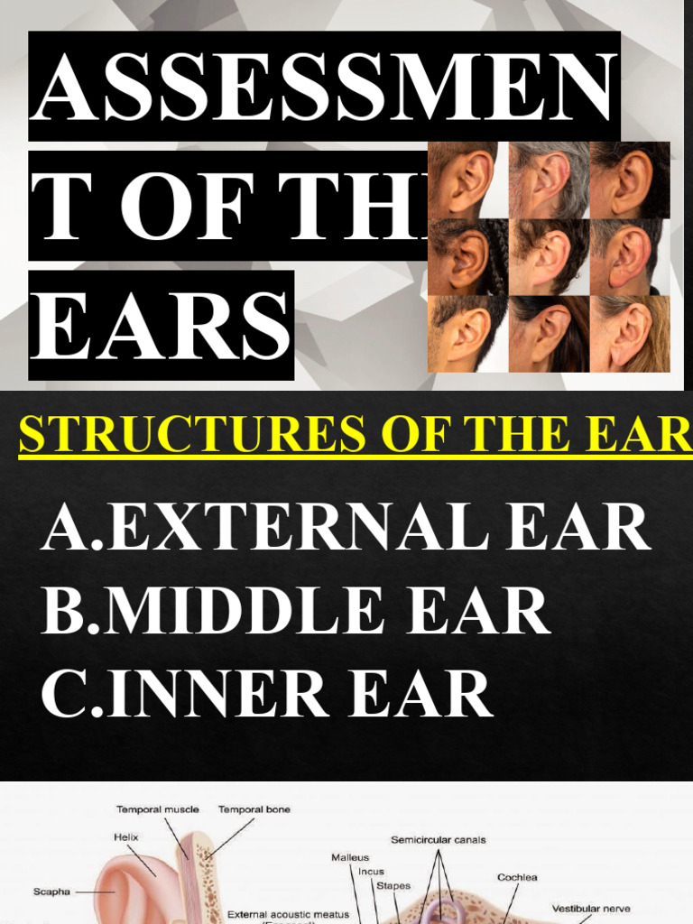FINAL-EARS | PDF | Ear | Hearing