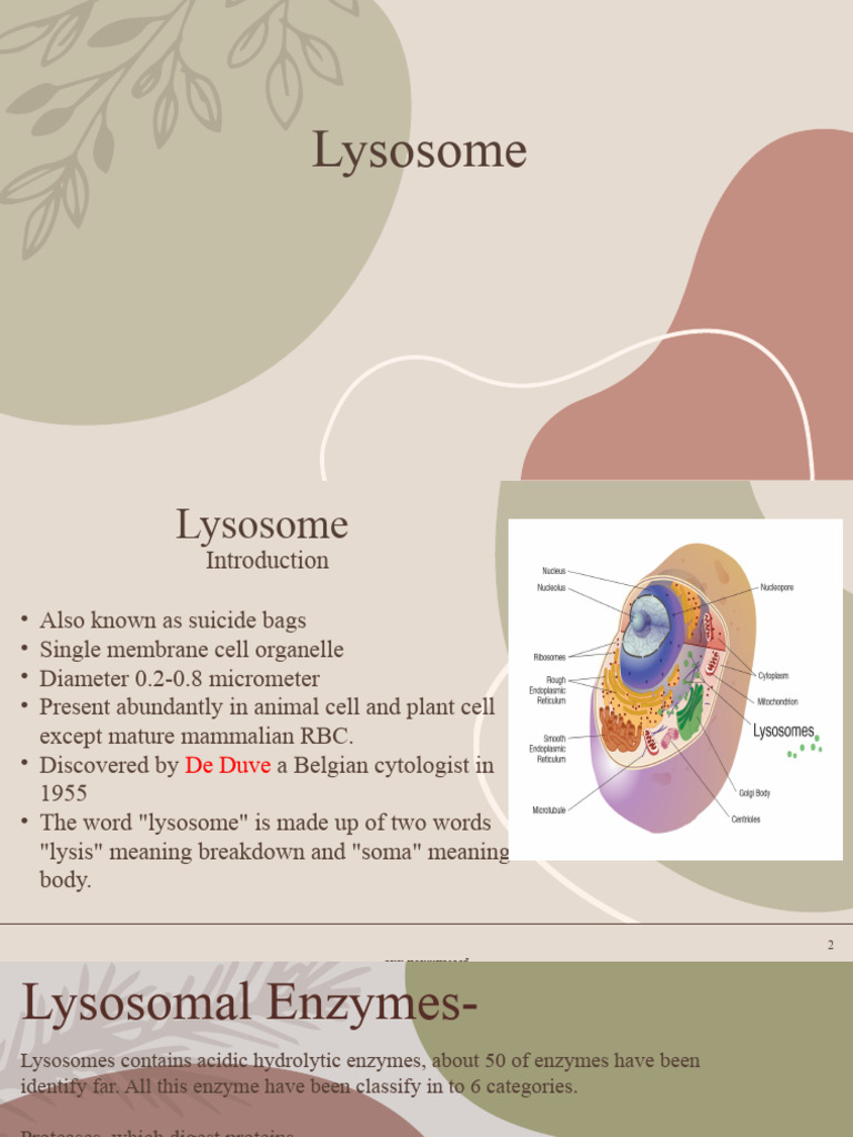 Aryan Biochem Final | Download Free PDF | Lysosome | Cell Biology
