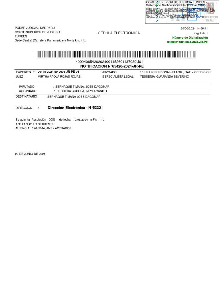 Exp. 00145-2024-89-2601-JR-PE-04 - Consolidado - 65420-2024 | PDF | Ley ...